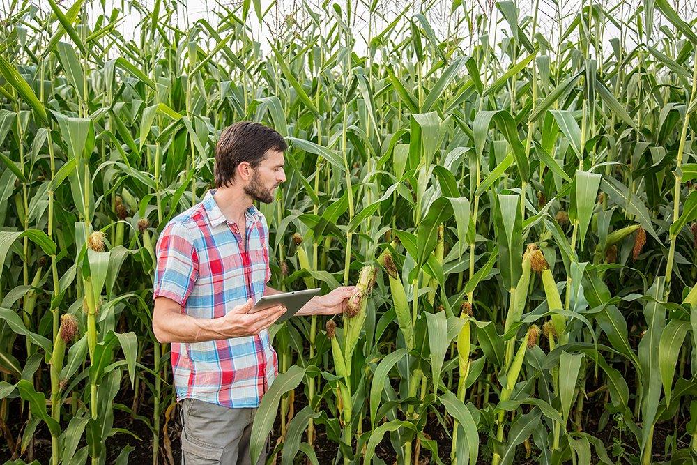 eLearning - Increase ROI from software - Agronomix
